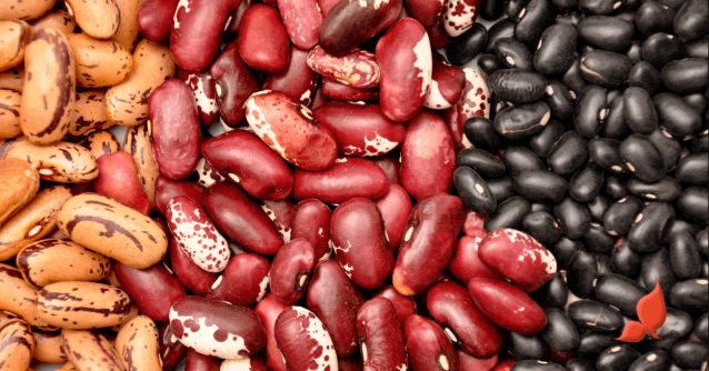 Understanding Saponins in Beans and Methods for Removal – Smart Food ...